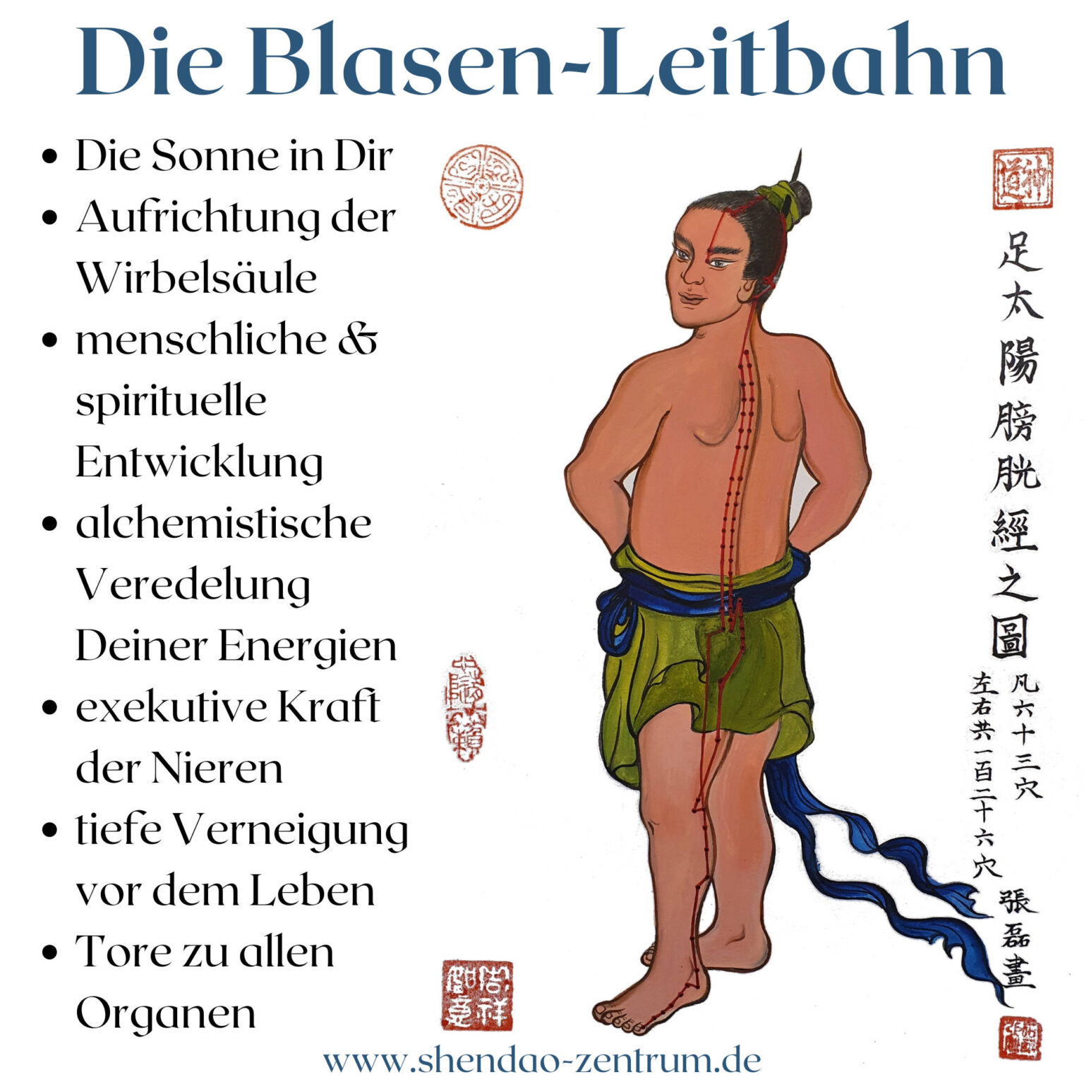 Der Blasen-Meridian in der TCM - Shendao Zentrum